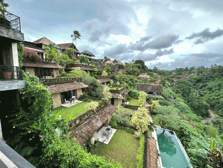 Bali, Ubud, and Surabaya, Indonesia 2023 - JetSetWay